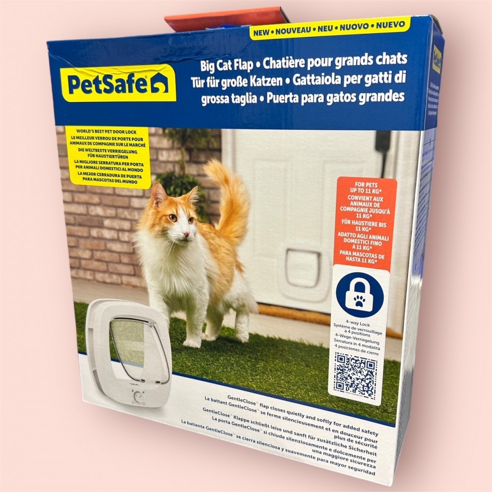 Cat Flap For Large Cats