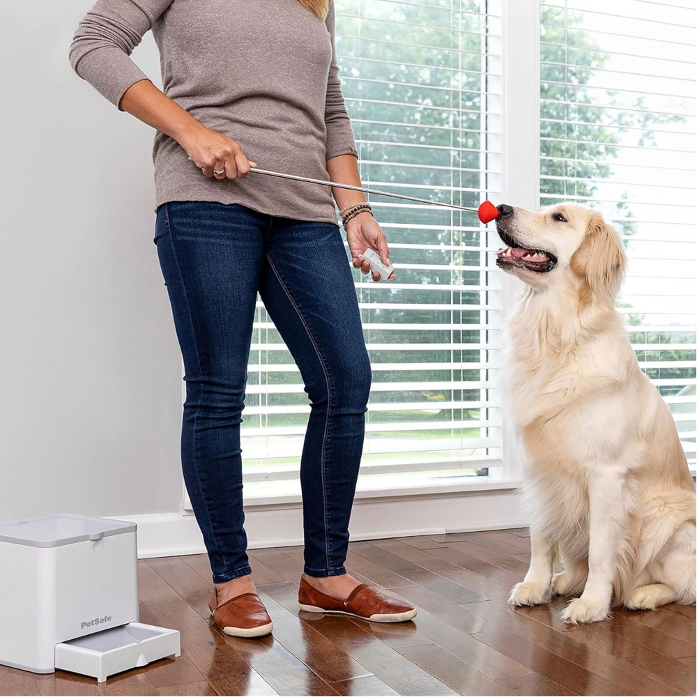 Treat and Train Remote Dog Trainer PetSafe