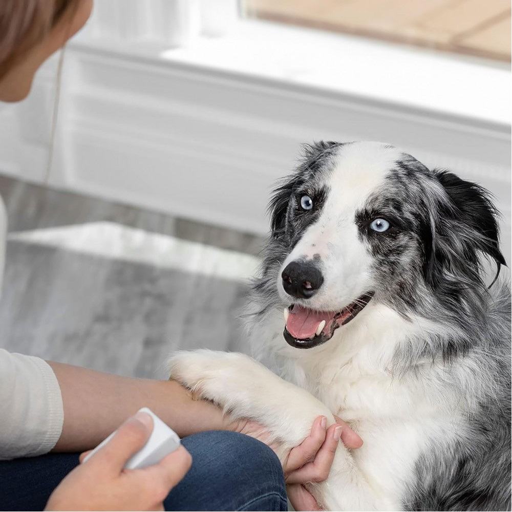 Treat and Train Remote Dog Trainer PetSafe