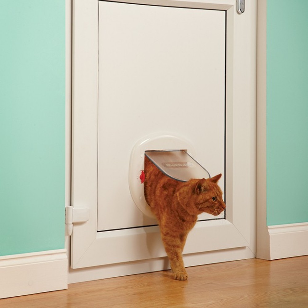 Cat Flap In A Glass Window at Nicholas Barrallier blog