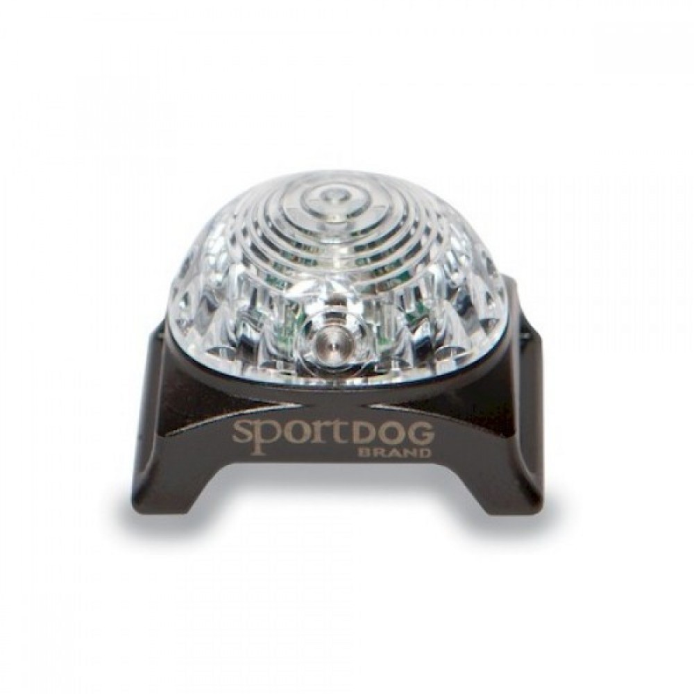 Waterproof LED Dog Collar Light for Night Walks – White Beacon